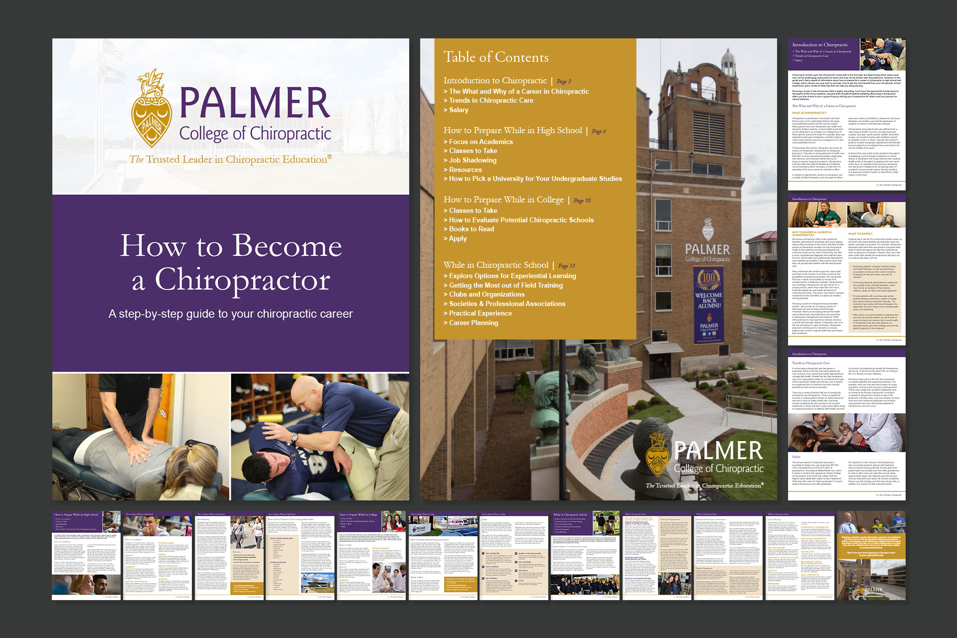 Product Guide & eBook Examples - Mad Fish Digital